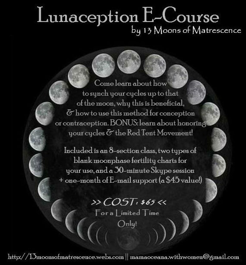 LUNACEPTION E-COURSE Fertility Charts 1-on-1 Support Digital PDF ...