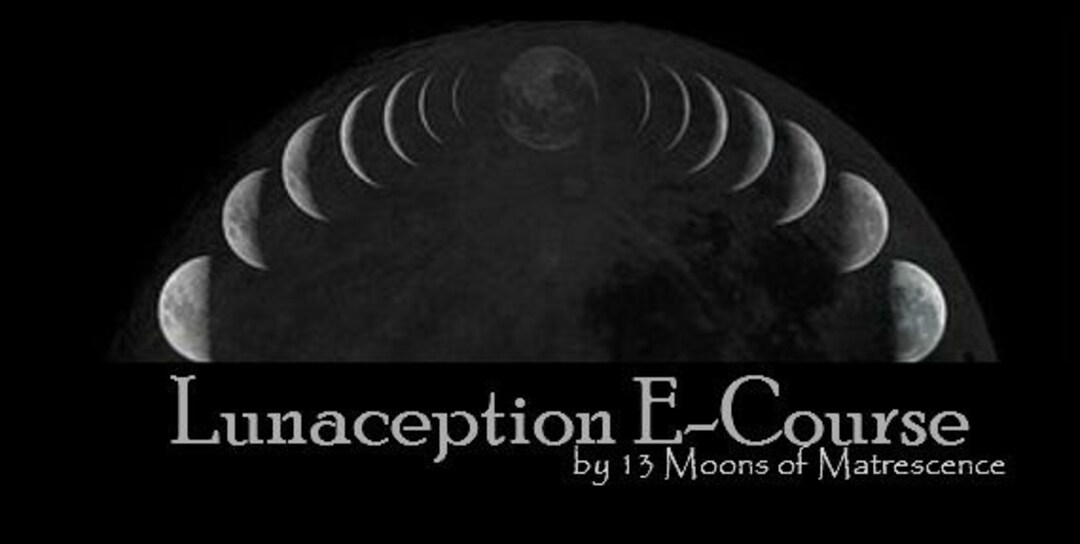 LUNACEPTION E-COURSE Fertility Charts 1-on-1 Support Digital PDF ...