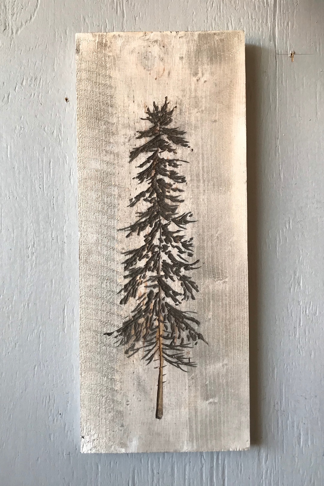 Douglas Fir Pine Tree Carved Wood Wall Art - Etsy