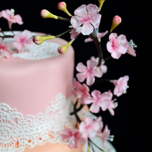 SPRING BABY SHOWER Welcome Sign Cherry Blossom Baby Shower | Etsy