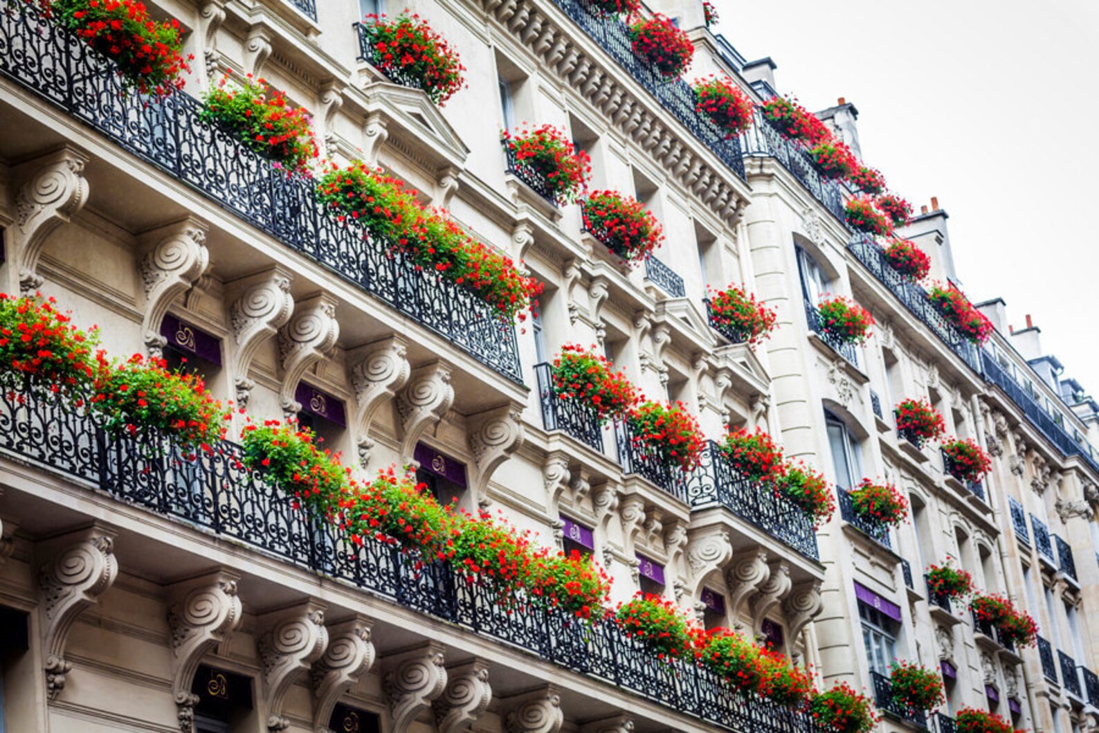 Paris Balcony Geraniums Photograph, French Hotel Decor - Etsy