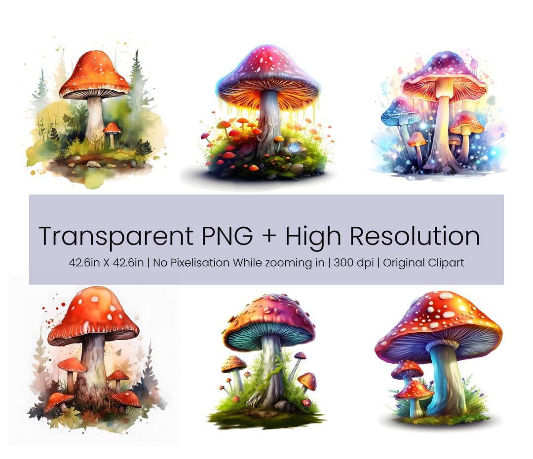 Colorful Mushroom Clipart in Watercolor, Transparent Cackground Clipart ...