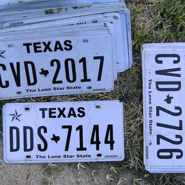 Expired License Plate - Etsy