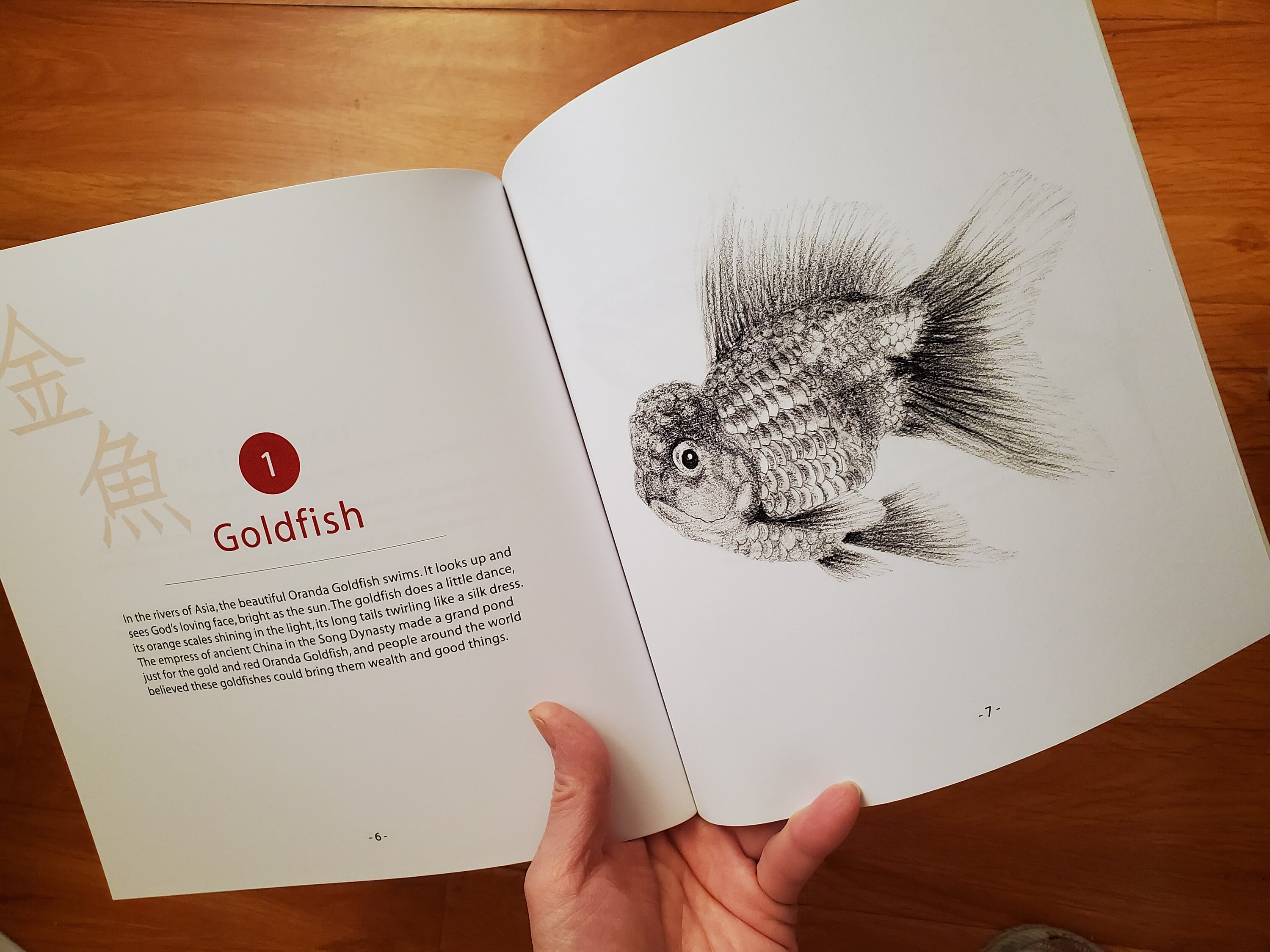 Pencil Drawing Book - "underwater Animals" - Etsy