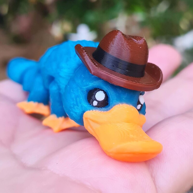 Perry the Platypus Hat - Etsy