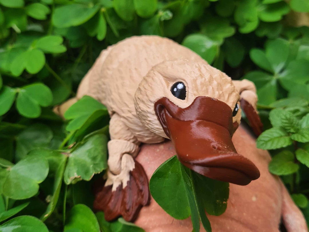 Lovely Platypus Articulated Figure With 3D Printing Technology - Etsy