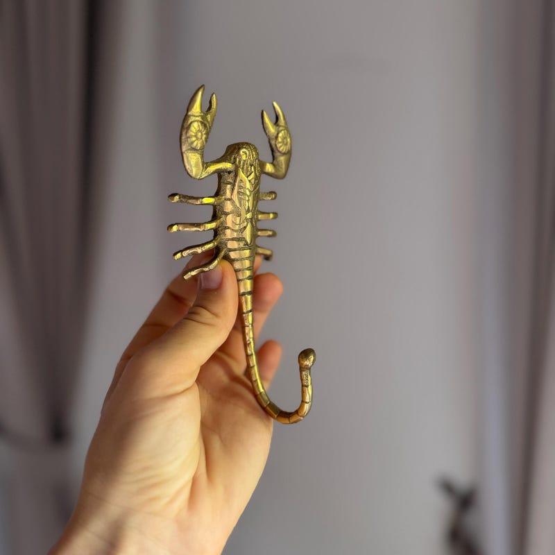 Brass Bugs for Wall - Etsy