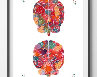 Brain watercolor print anatomy art brain lateral view poster | Etsy