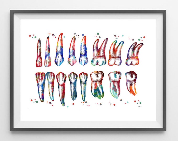Dental Art Print Teeth Anatomy Art Teeth Row Watercolor | Etsy