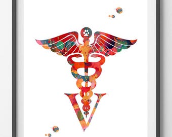 Veterinary caduceus | Etsy