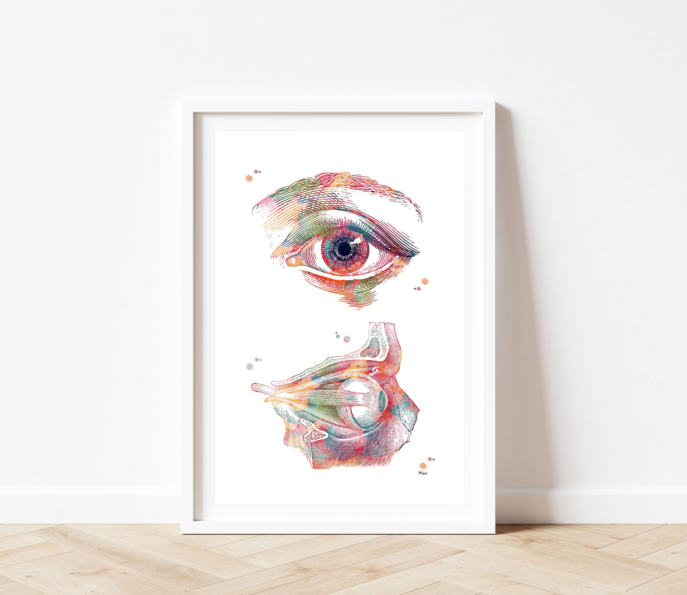 Eye Anatomy Watercolor Print Eye Poster Ophthalmology Art - Etsy Canada
