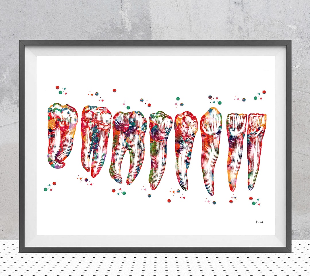 Teeth and Roots Anatomy Print Dental Art Watercolor Molar and Incisors ...