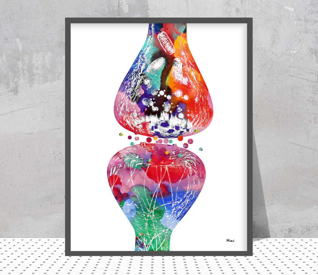 Brain Synapse Print Neurology Poster Brain Cell Watercolor Neuronal ...