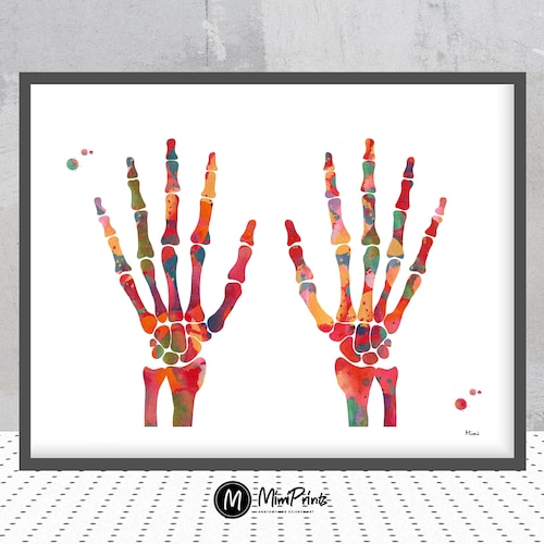 Human Skeleton Watercolor Print Skeletal System Poster Anatomy - Etsy