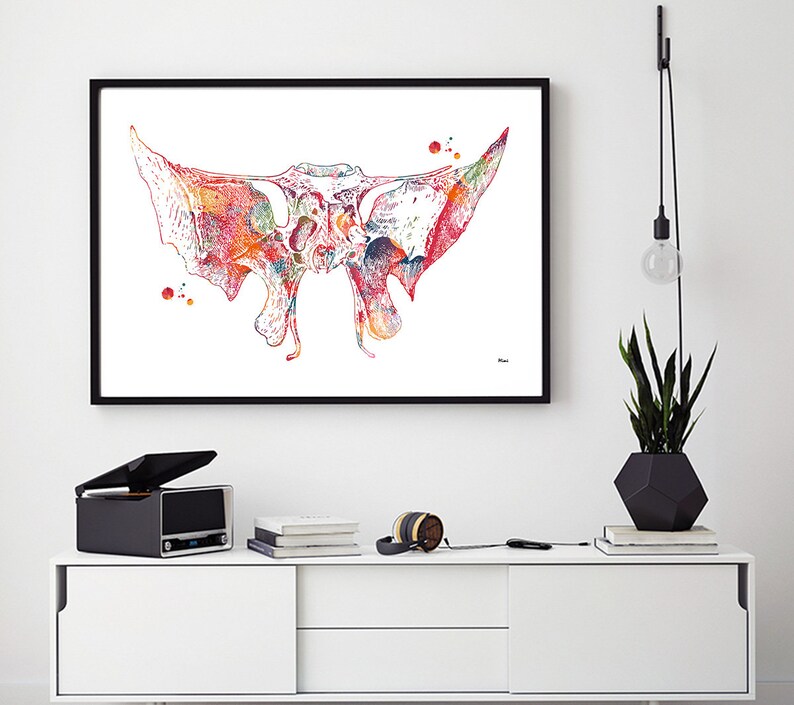 Sphenoid Bone Watercolor Print Medical Art Poster Cranium Bones Anatomy ...