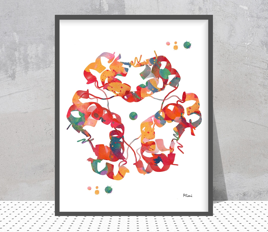 Insulin Molecular Structure Print Insulin Peptide Diabetology ...