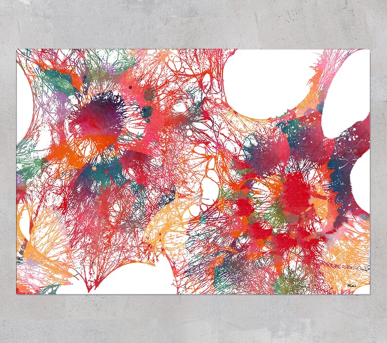 Fibroblast Cells Watercolor Print Fibroblasts Dividing Poster - Etsy