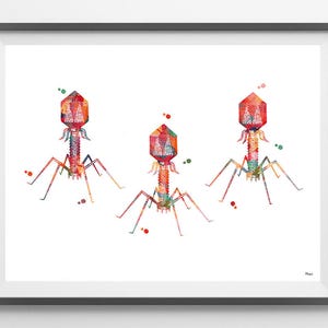 Bacteriophage Watercolor Print Science Art Poster Phage Poster - Etsy