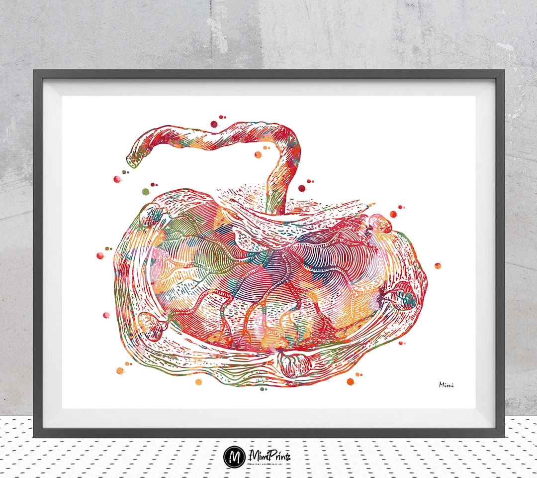 Placenta Fetus Print Pregnancy Art OB-GYN Watercolor Placenta and ...