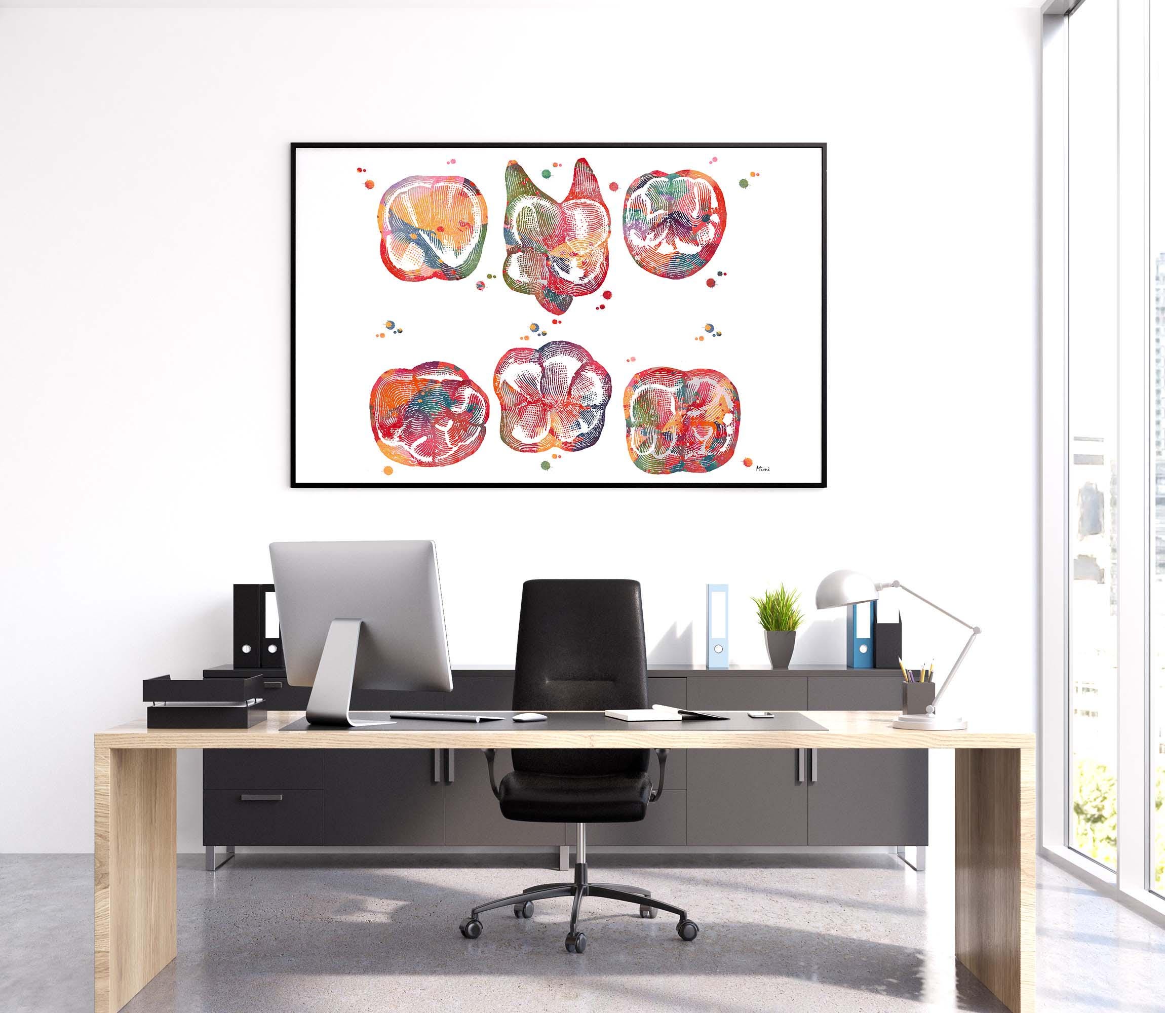 Teeth Anatomy Print Molar Surfaces Painting Orthodontics Watercolor ...
