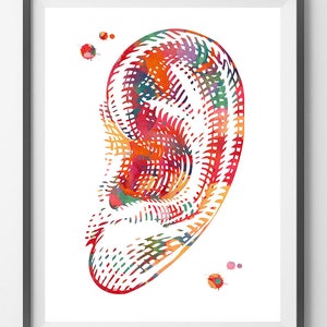 Audiology Art Print Ear Watercolor Anatomy Art Outer Ear Illustration ...