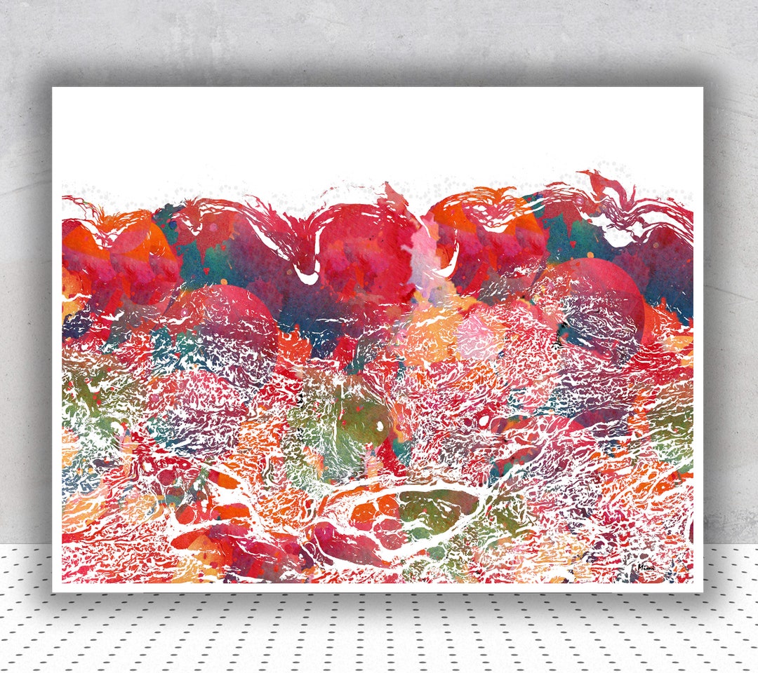 Skin Histology Watercolor Print Epidermis Microscopic View Poster Skin ...