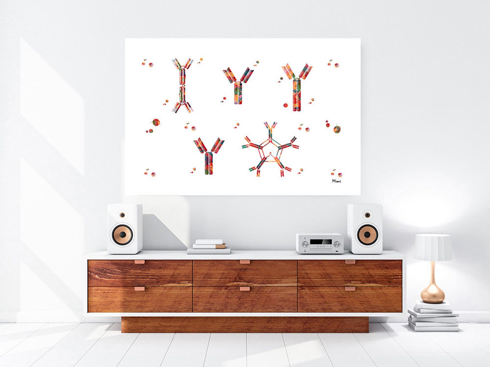 Antibody Structure Print | Immunoglobulin (ig) Antigens Watercolor ...