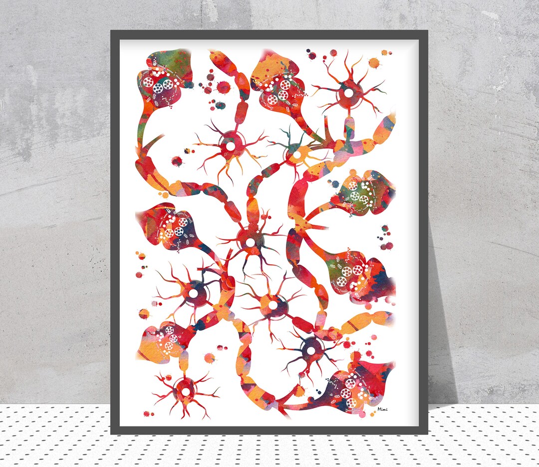 Neurons and Synapse Connection Print Brain Connection Watercolor Nerve ...