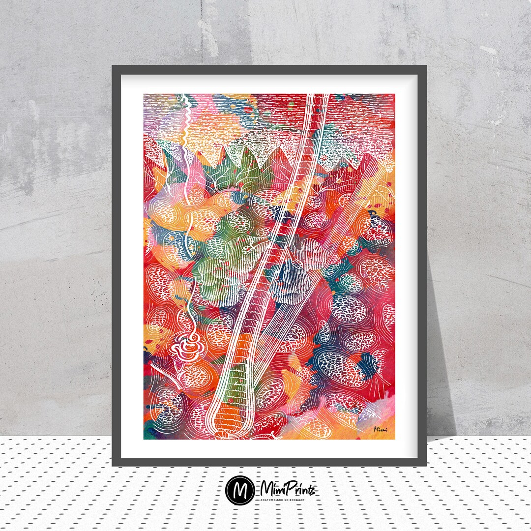 Epidermis Art Print Human Skin Anatomy Watercolor Illustration ...