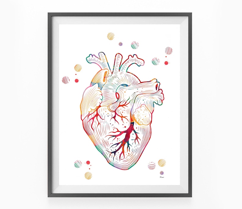 Anatomical Heart Watercolor Print - Medical Anatomy Art - Etsy