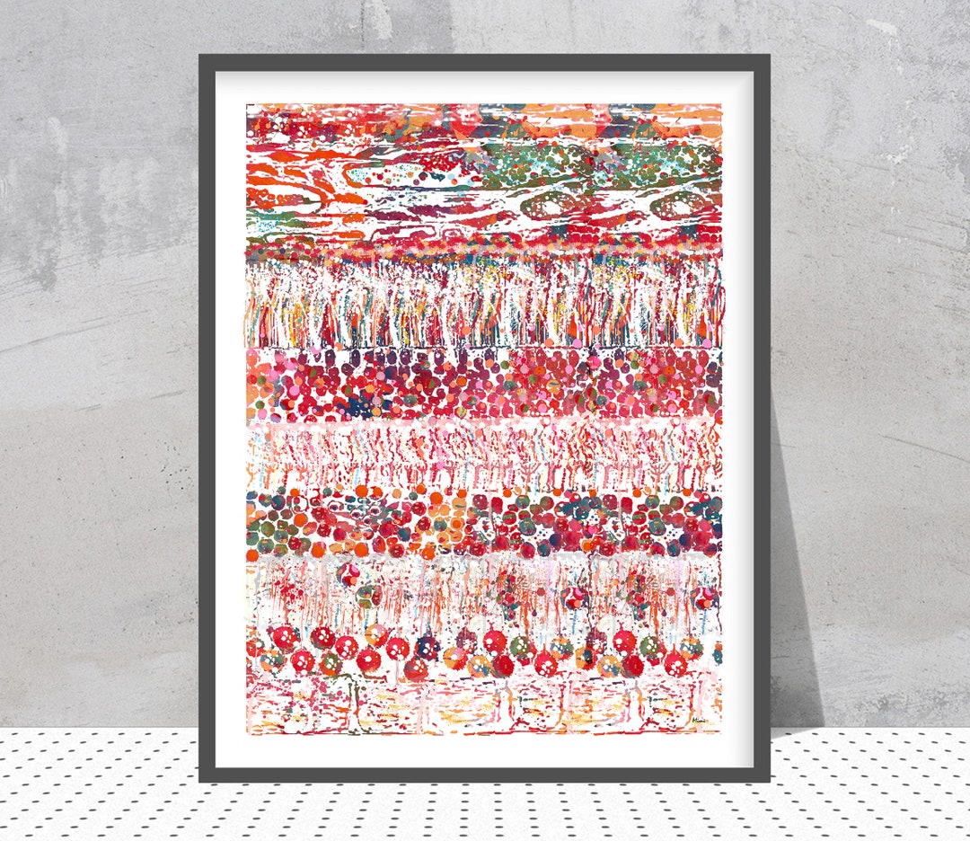 Retina Layers Watercolor Print Human Eye Histology Print Anatomy Art ...