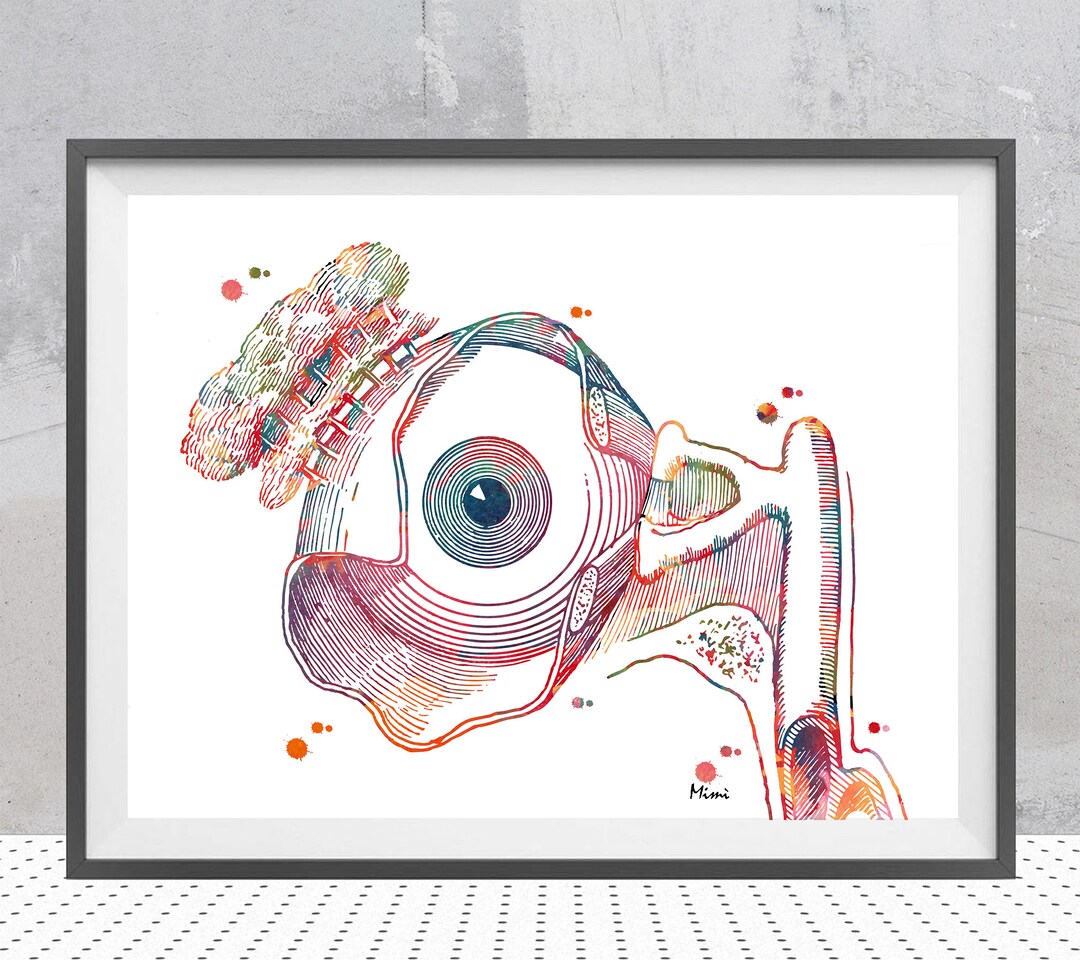 Lacrimal Gland Print Eye Anatomy Poster Lacrimal Duct Print Tear System ...