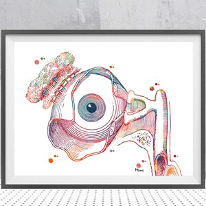 Lacrimal Gland Print Eye Anatomy Poster Lacrimal Duct Print Tear System ...