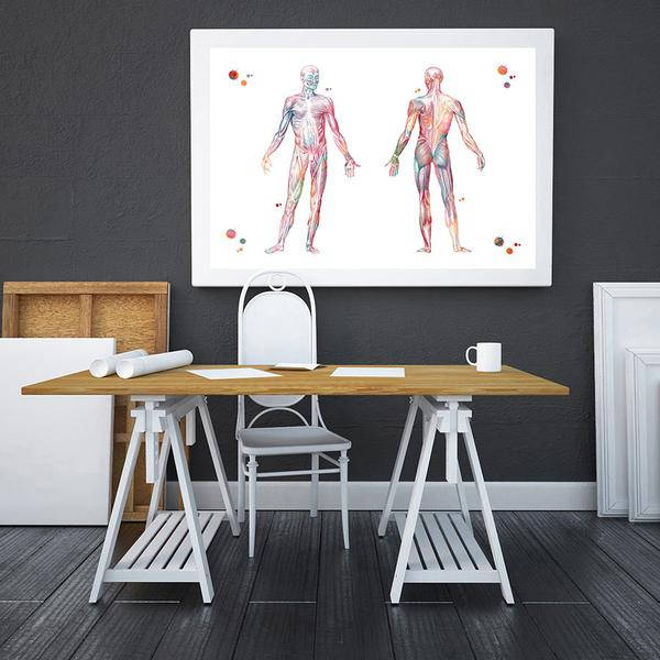 Muscular System Anatomy Print Human Body Skeletal Muscles Poster ...