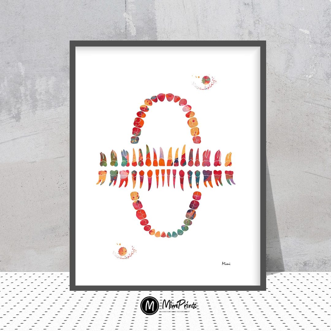 Teeth Row Diagram: Maxillary and Mandibular Teeth Illustration, Dental ...