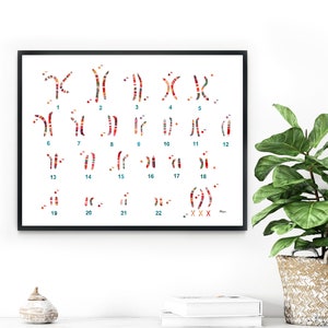 Trisomy X Genetics Print Triple X Chromosome Idiogram Watercolor ...