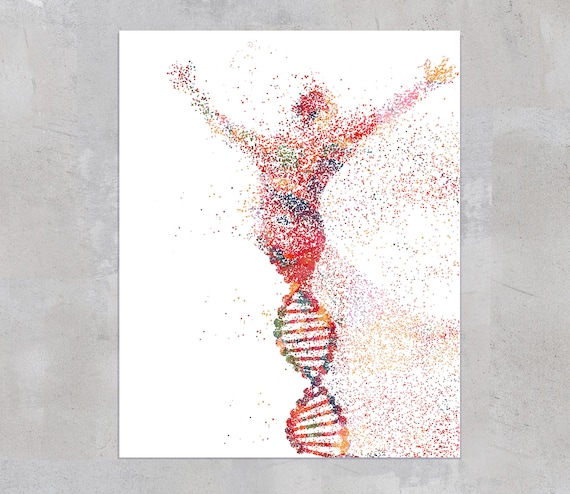 Human Genome Poster