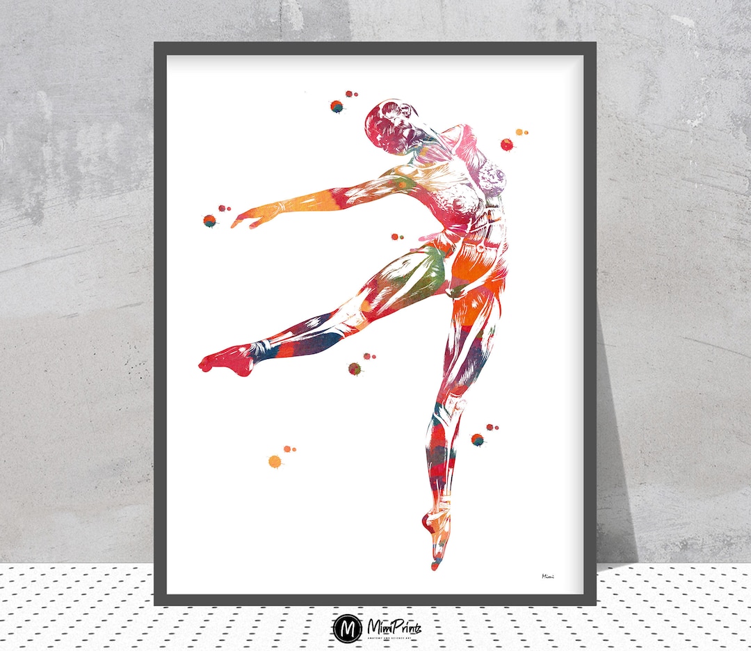 Dance Anatomy Watercolor Print, Muscular System Art - Etsy