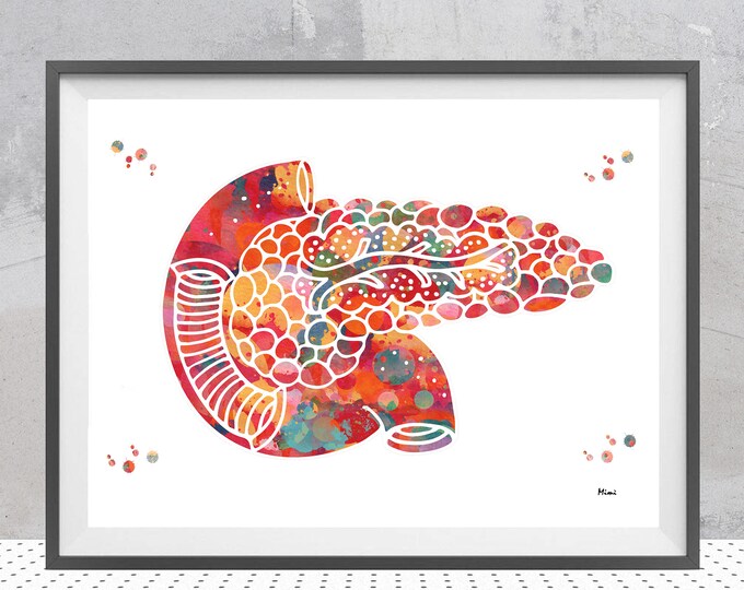 Pancreas Art Print Doctor Poster Gift Medical Art Print Digestive ...