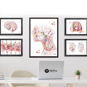 Head Lymph Nodes Print Lymphatic System Anatomy Poster Lymphatic ...
