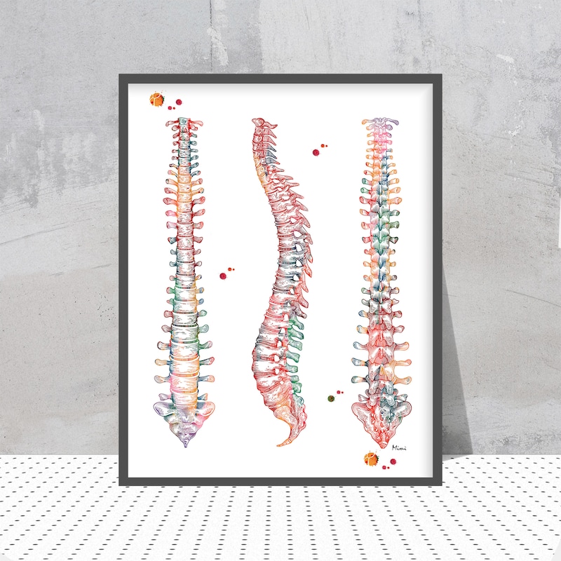Spine Art - Etsy