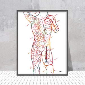 Angiosomes Map Print - Etsy