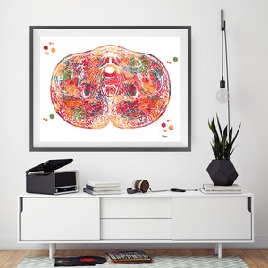 Pelvic Floor Anatomy Print Cross Section View of the Muscles of Pelvic ...