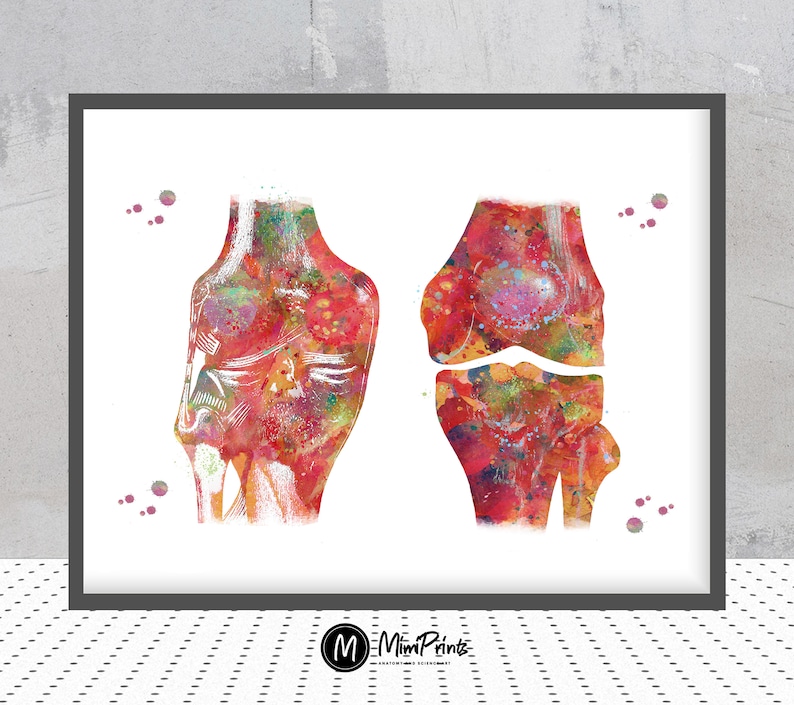 Knee Anatomy Watercolor Print Knee Joints Medical Art Knee - Etsy