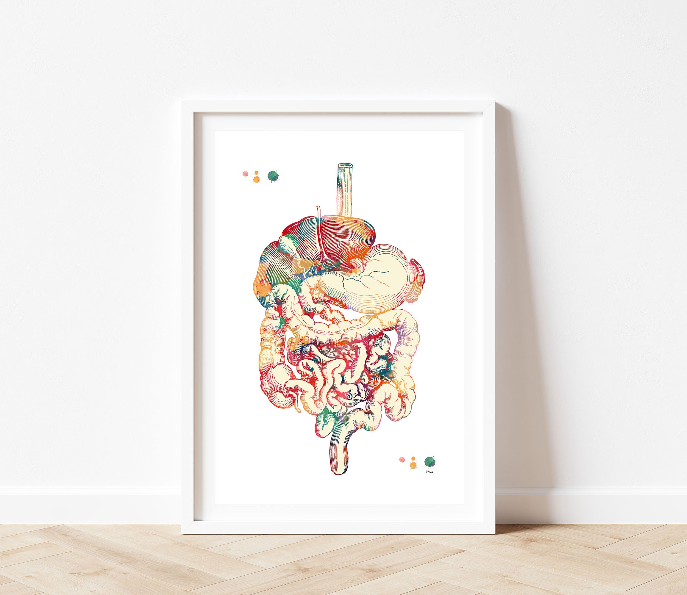 Digestive tract watercolor print human anatomy digestive system poster ...