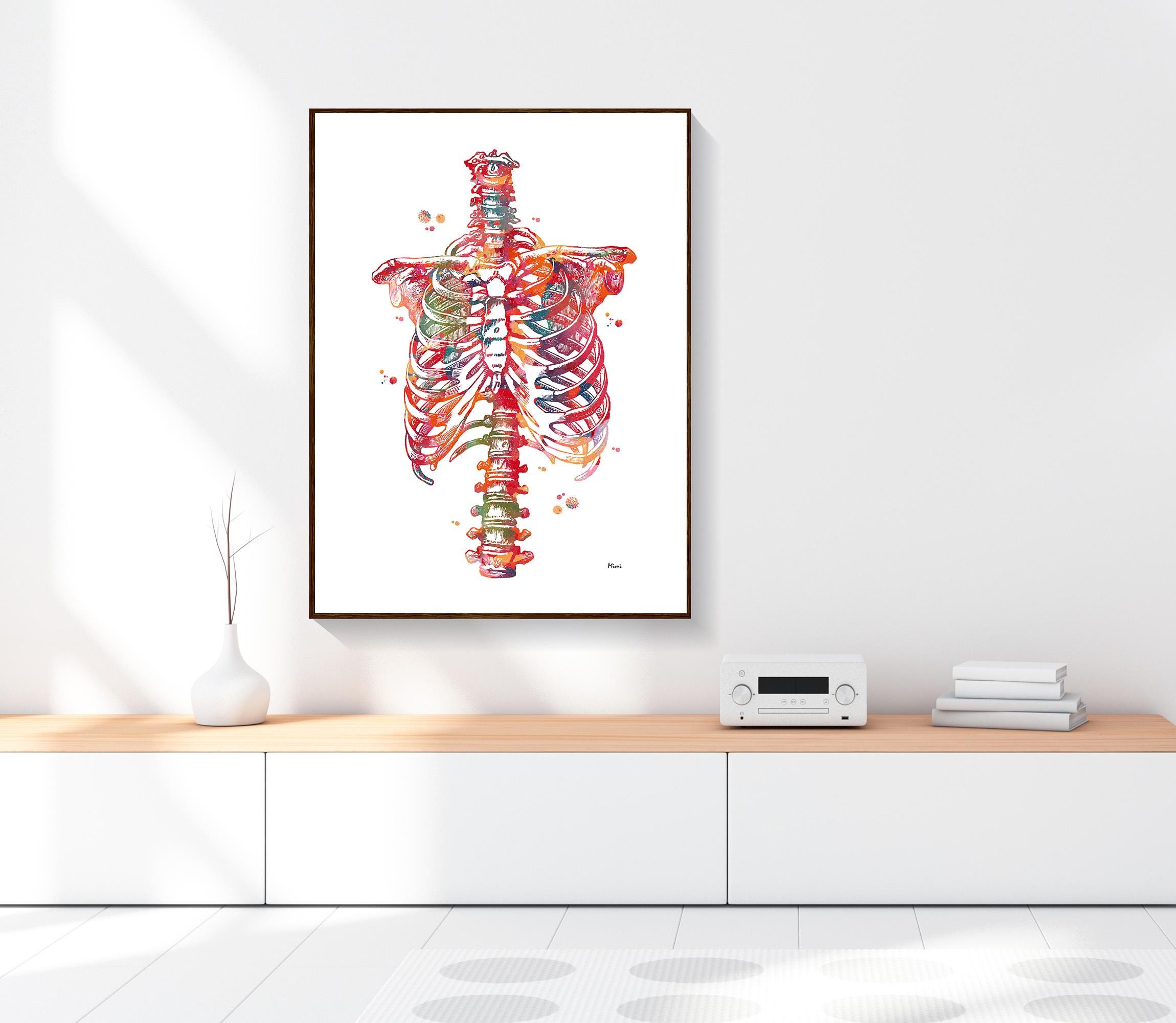 Rib Cage Print Human Thorax Anatomy Medical Art Watercolor Skeletal ...