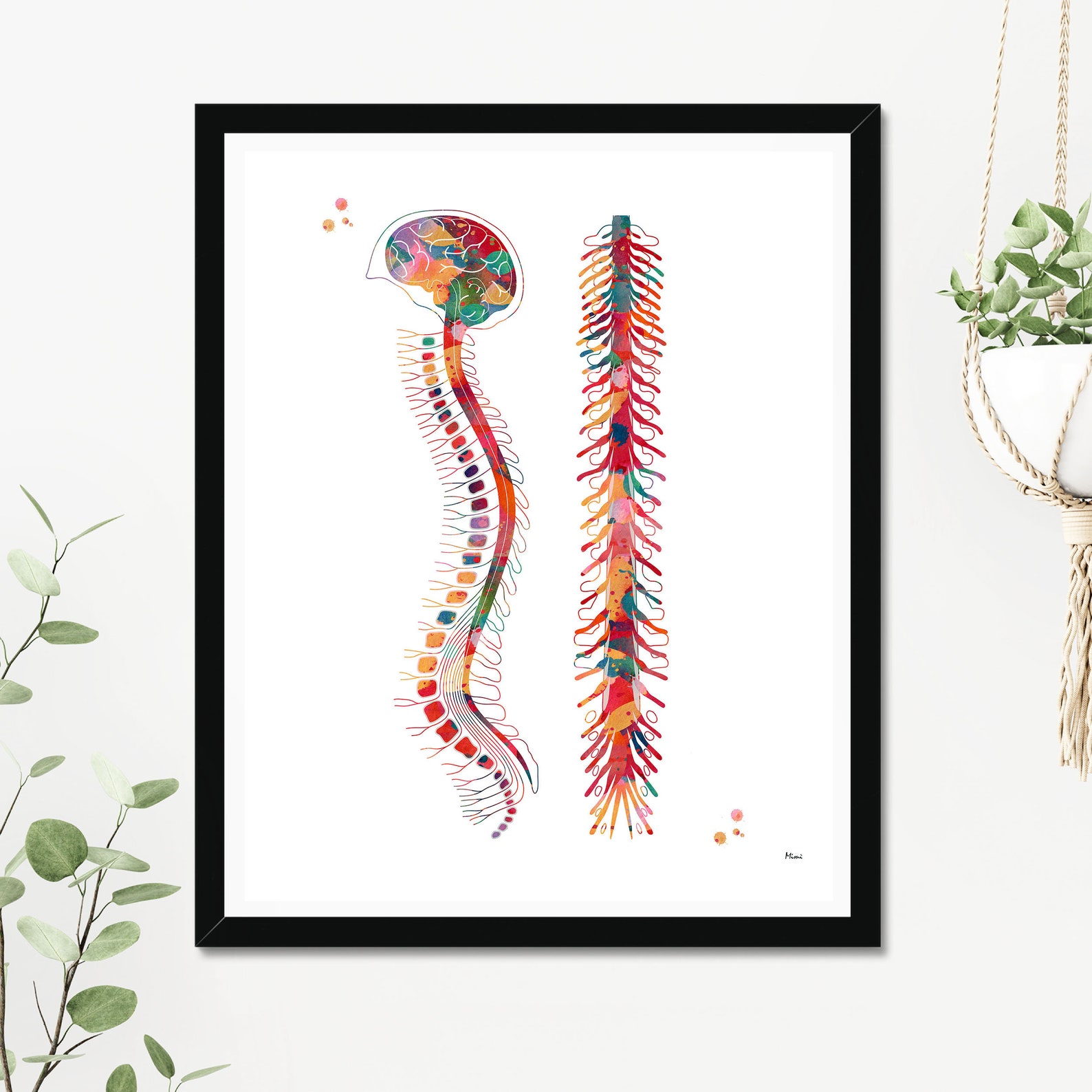 Spine Watercolor Print Anatomy Art Spinal Cord Poster Vertebral Column ...