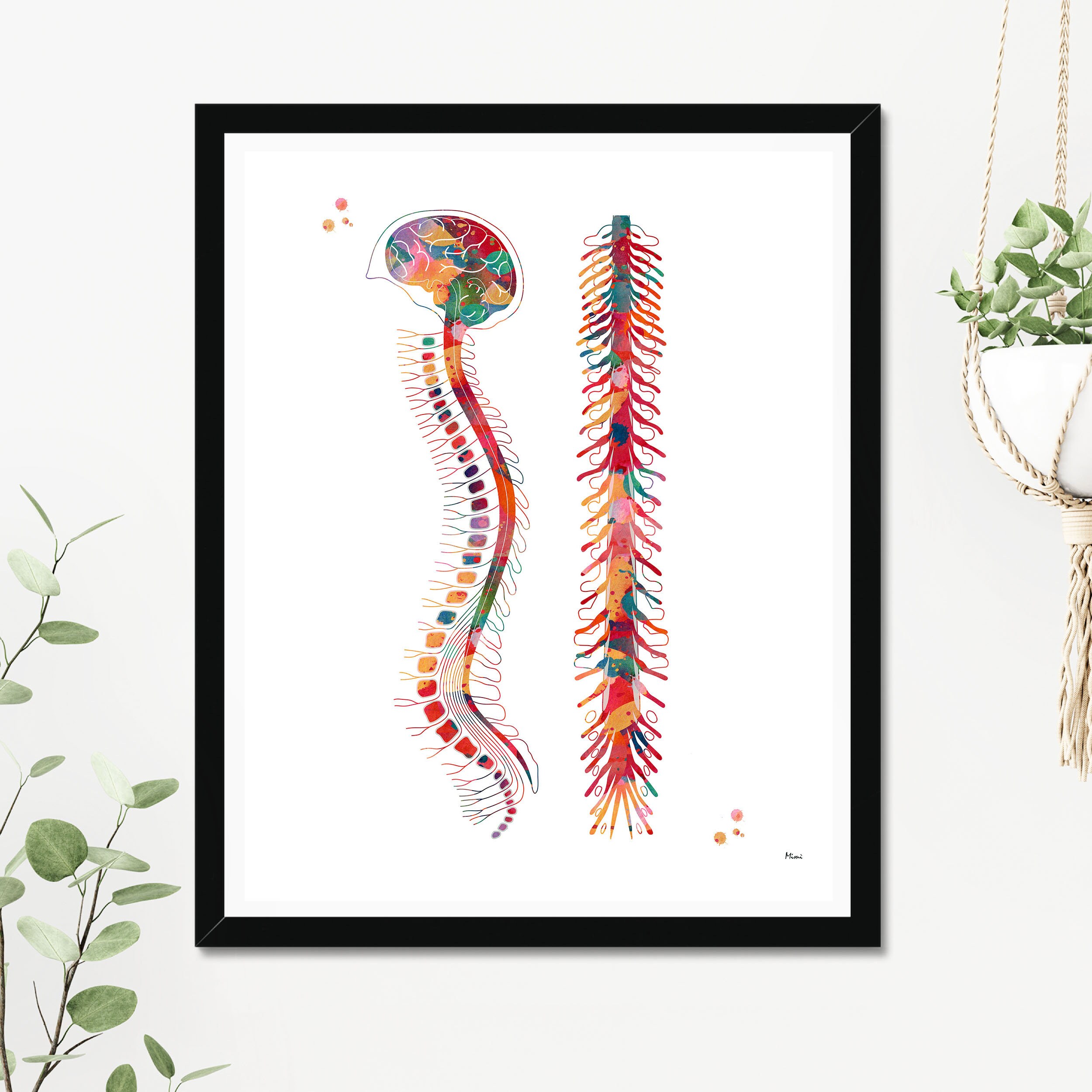 Spine watercolor print anatomy art spinal cord poster vertebral column ...