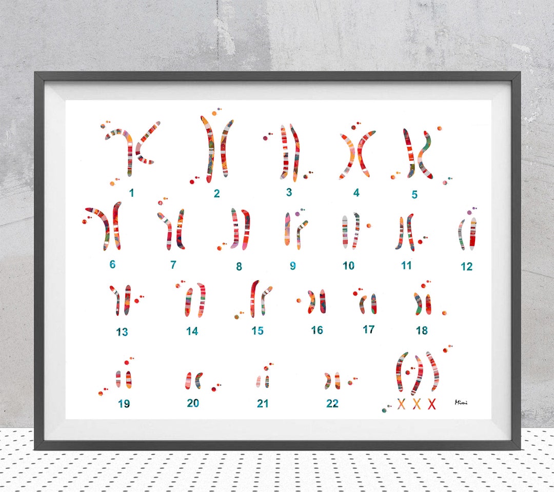 Trisomy X Genetics Print Triple X Chromosome Idiogram Watercolor ...