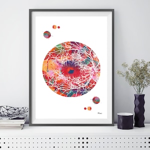 Retina Art Print Eye Anatomy Poster Optometry Illustration Optic Disc ...